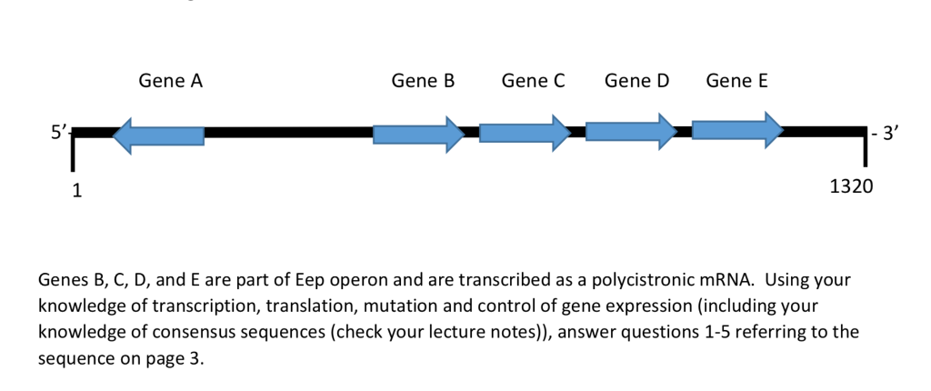 Solved Question | Chegg.com