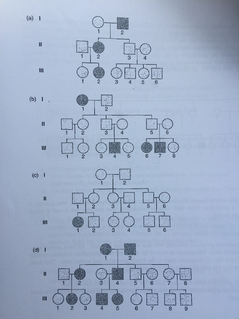 Solved Indicate possible patterns of inheritance for the | Chegg.com