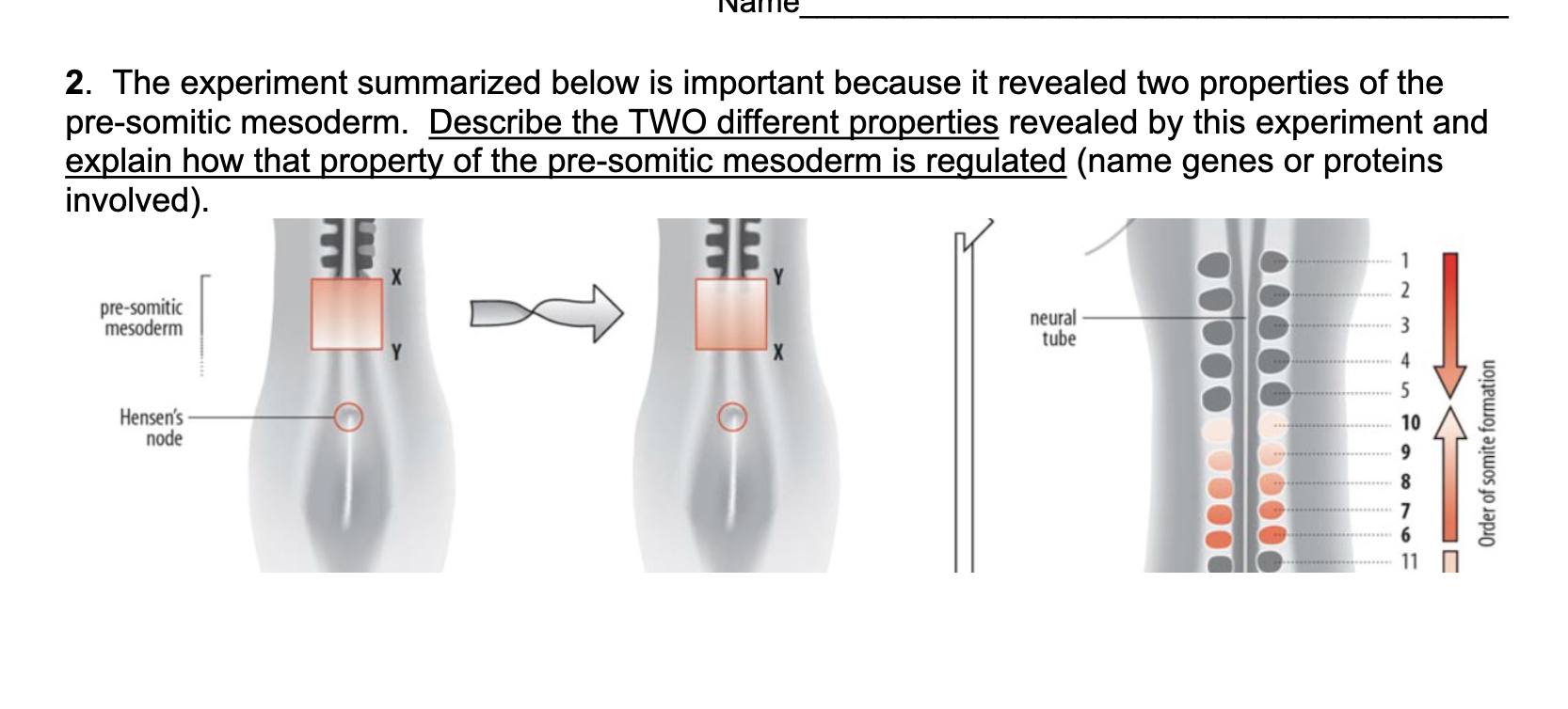 2. The experiment summarized below is important | Chegg.com