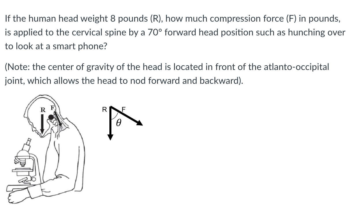 Solved If the human head weight 8 pounds (R), how much | Chegg.com
