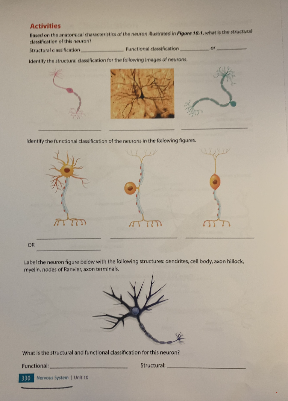 Solved Activities Based on the anatomical characteristics of | Chegg.com
