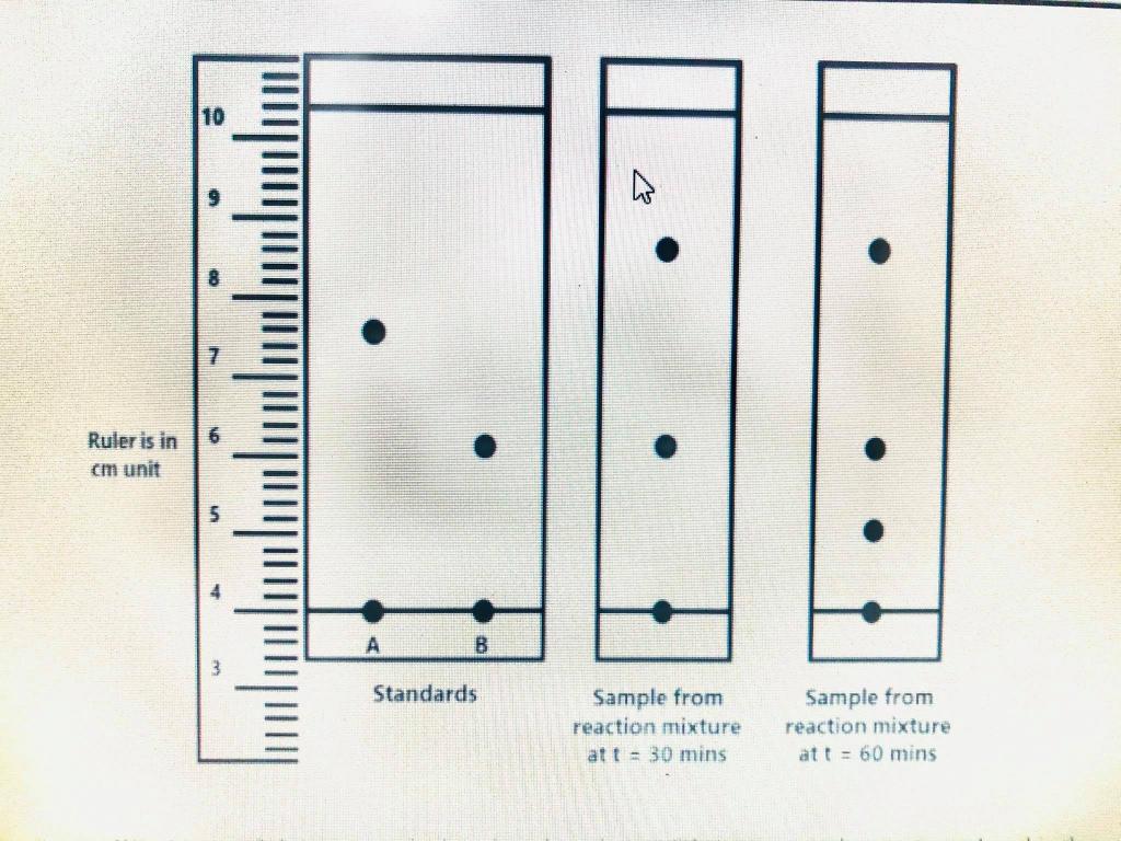 Solved A problem on paper chromatography. The progress of | Chegg.com