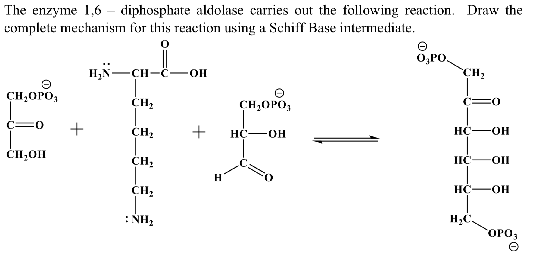 Solved The enzyme 1,6 – diphosphate aldolase carries out the | Chegg.com