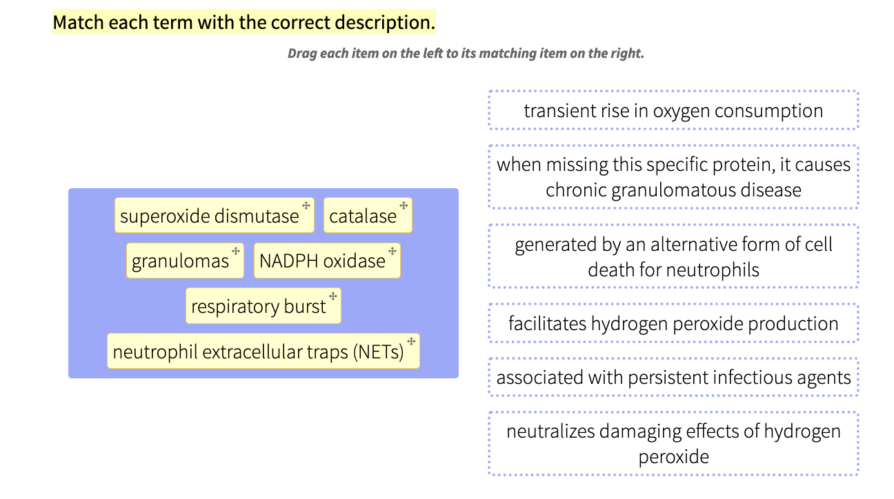 Solved Match each term with the correct description.Drag | Chegg.com