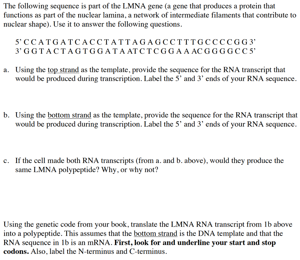 Solved The following sequence is part of the LMNA gene (a | Chegg.com