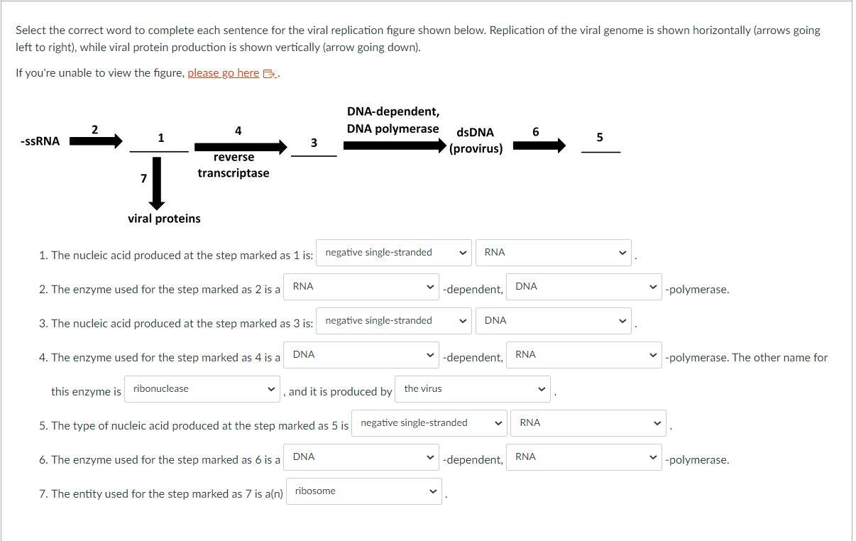 Solved Select the correct word to complete each sentence for | Chegg.com