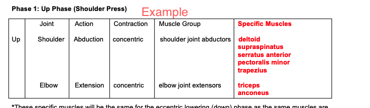 Solved Phase 1: Up Phase (Shoulder Press) Example Joint | Chegg.com