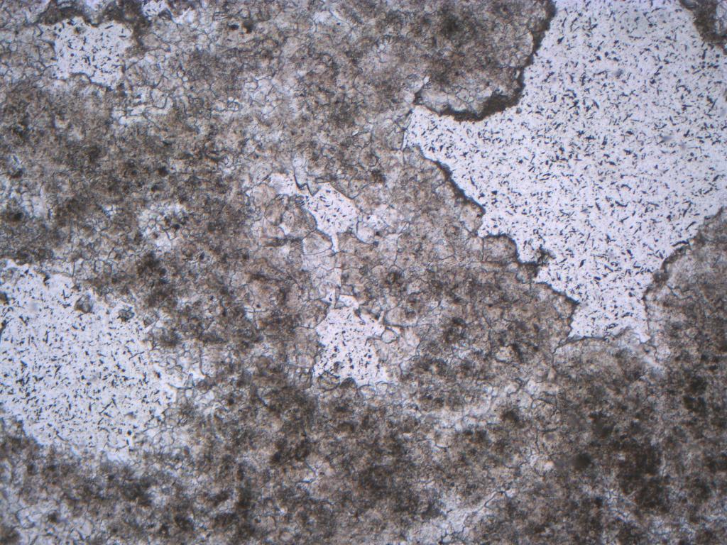 Solved Slide 14 What is the mineral | Chegg.com