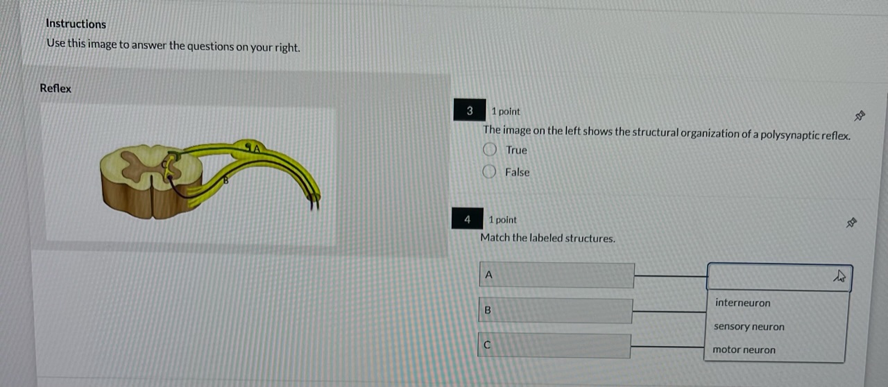 Solved Use this image to answer the questions on your right. | Chegg.com