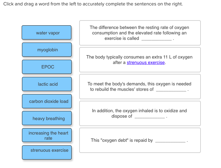Solved Click and drag a word from the left to accurately | Chegg.com