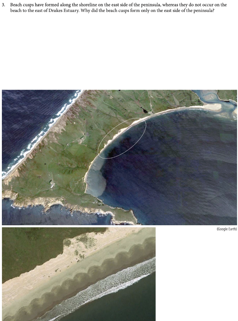 Solved 3. Beach cusps have formed along the shoreline on the | Chegg.com