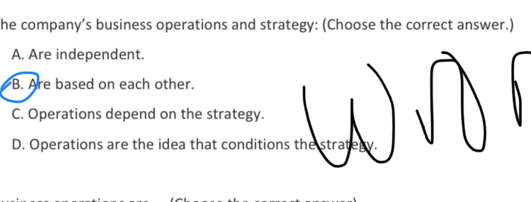 Solved The company's business operations and strategy: | Chegg.com