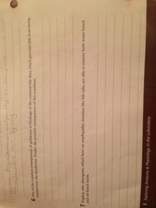 Solved Pre-Lab Exercise 233 Digestive Enzymes Brush border | Chegg.com