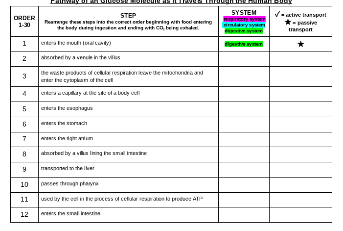 Solved ORDER 1-30 STEP Rearrange these steps into the | Chegg.com