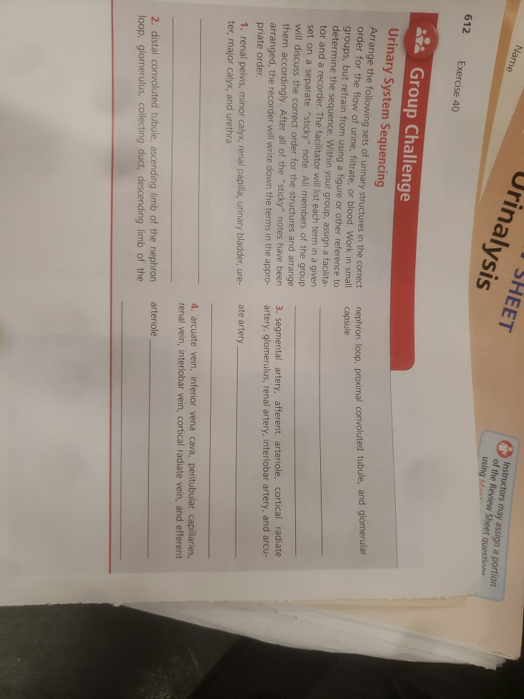 Urinalysis Cheat Sheet Nurse Practitioner School