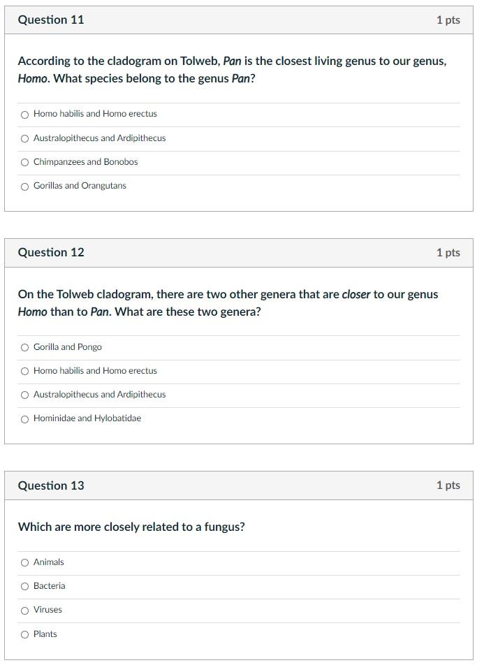 Solved Question 11 1 pts According to the cladogram on | Chegg.com
