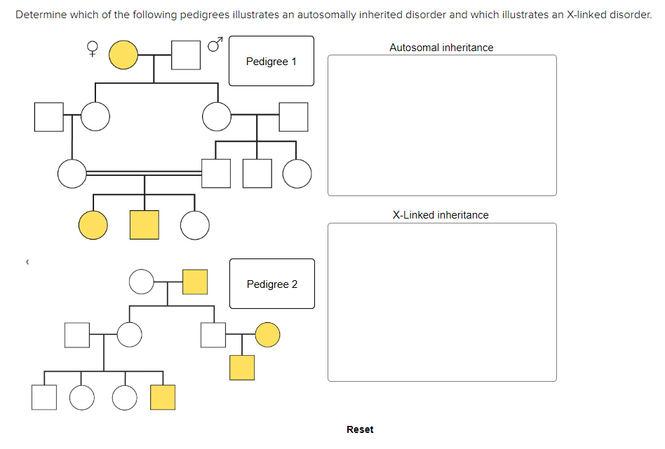 Solved Determine Which Of The Following Pedigrees Chegg solved-determine-which-of-the-following-pedigrees-chegg
