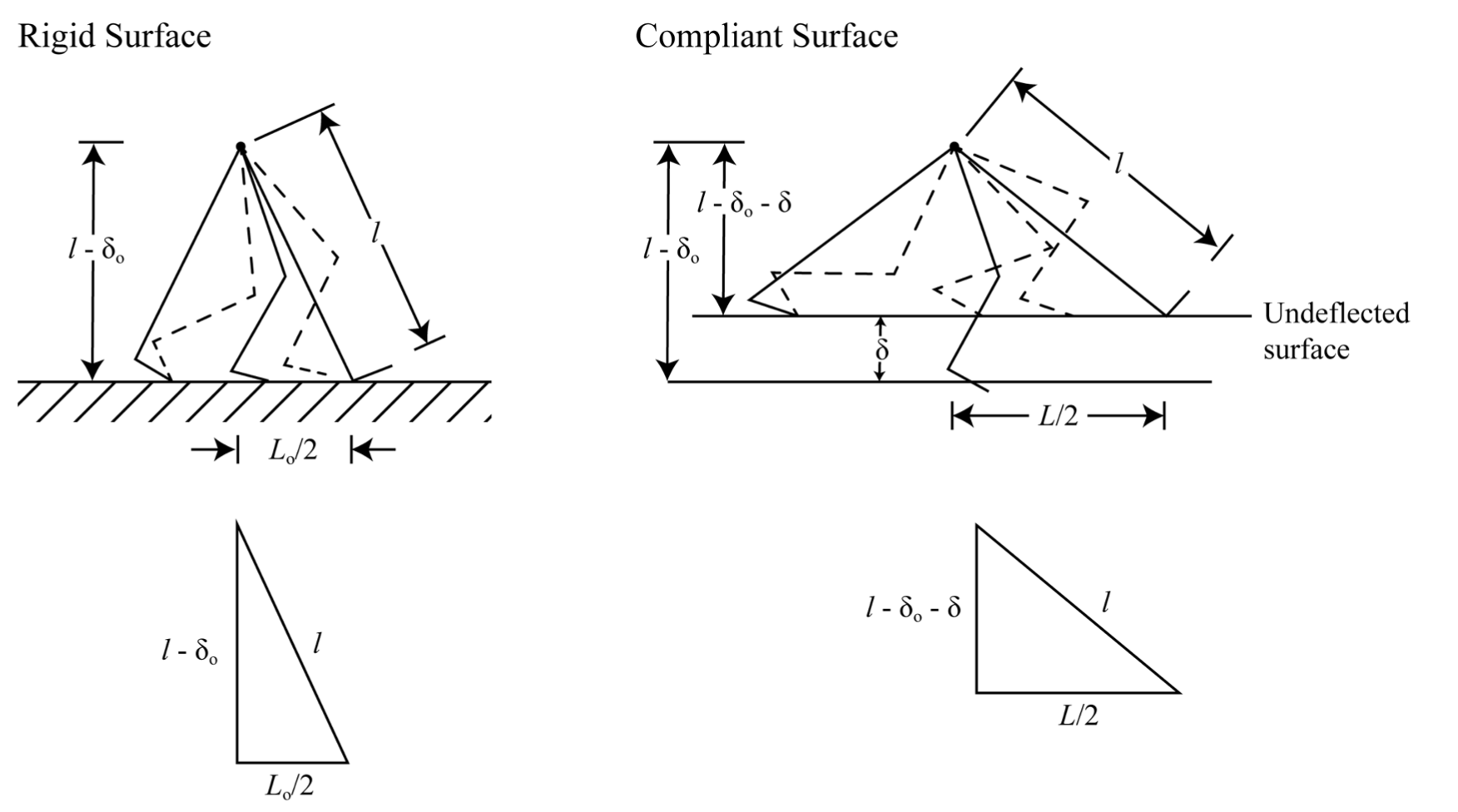 Solved The illustration below shows a leg on either a rigid | Chegg.com