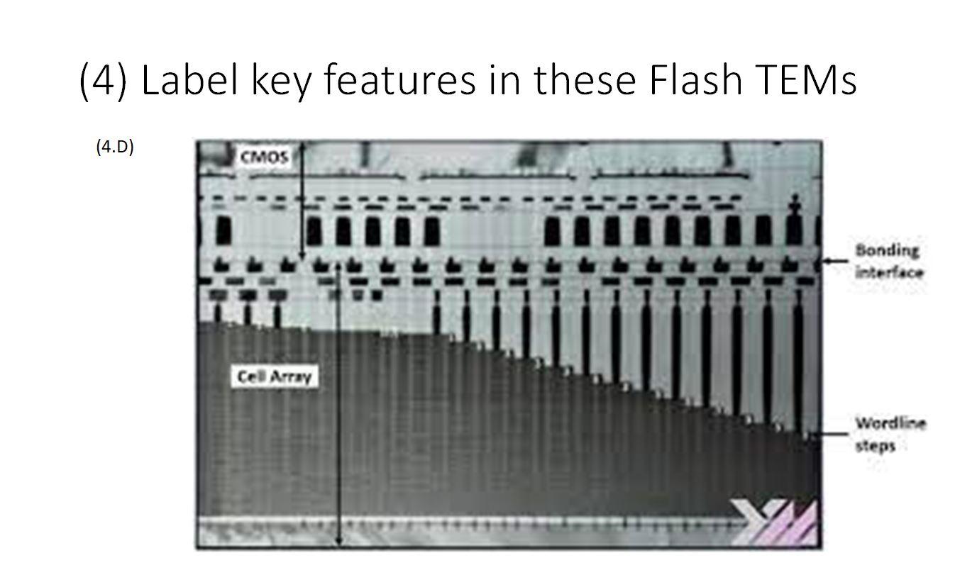 Solved (4) Label key features in these Flash TEMs | Chegg.com