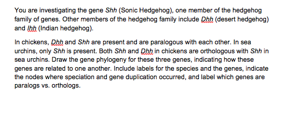 Solved You are investigating the gene Shh (Sonic Hedgehog), | Chegg.com