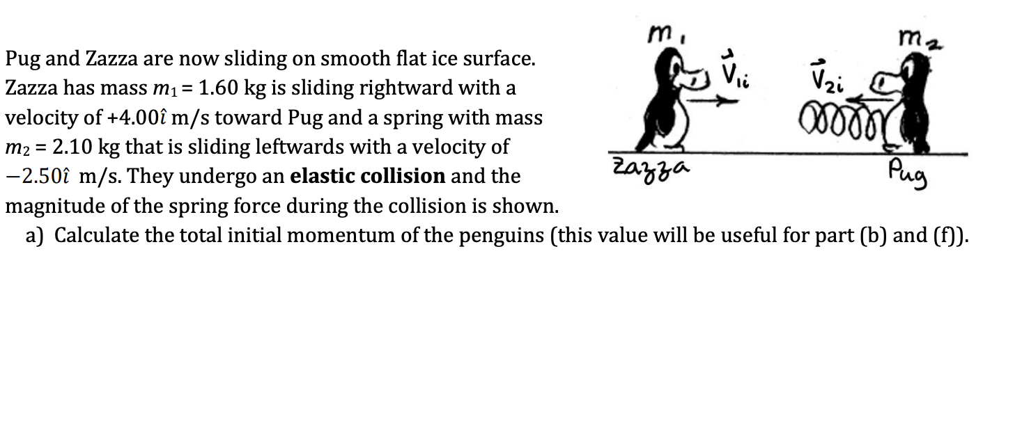 Solved Pug and Zazza are now sliding on smooth flat ice | Chegg.com