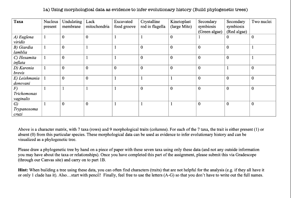 Solved la) Using morphological data as evidence to infer | Chegg.com