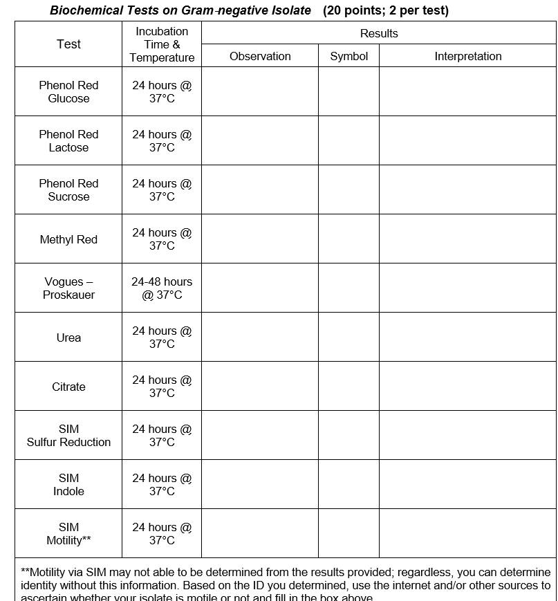 Solved Biochemical Tests on Gram-negative Isolate (20 | Chegg.com
