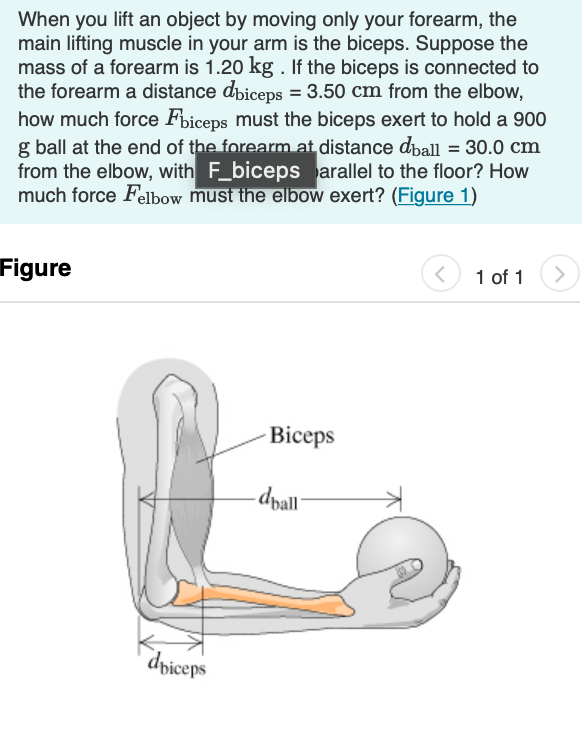 Solved When you lift an object by moving only your forearm, | Chegg.com