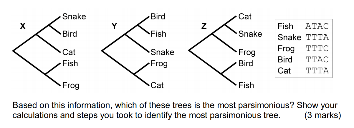 Solved Snake Bird Cat х Fish ATAC Bird Fish Snake Snake TTTA | Chegg.com