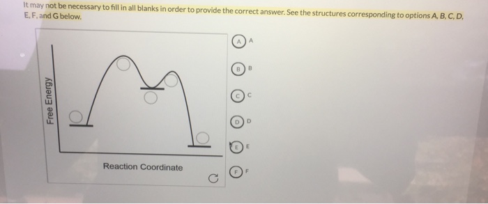 Solved Label the following free energy diagram with the | Chegg.com