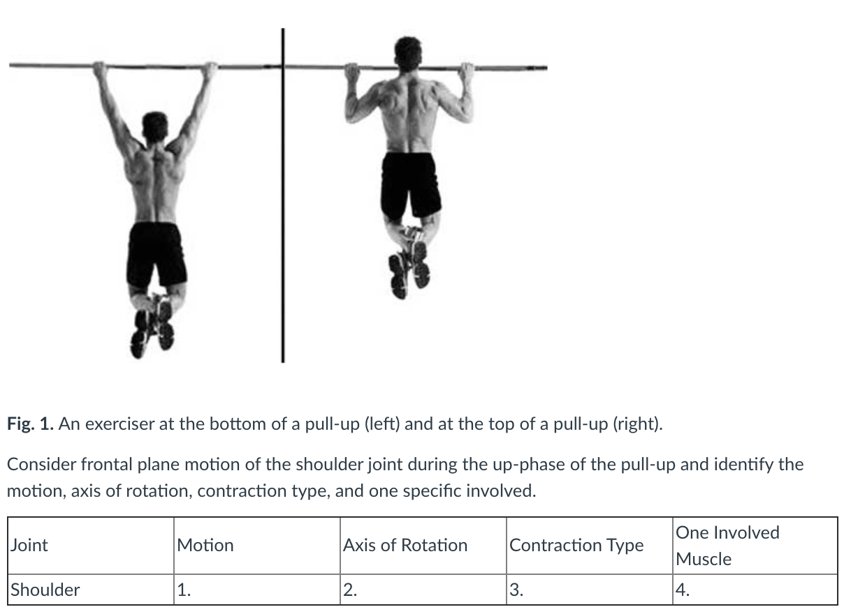 Solved Fig. 1. An exerciser at the bottom of a pull-up | Chegg.com