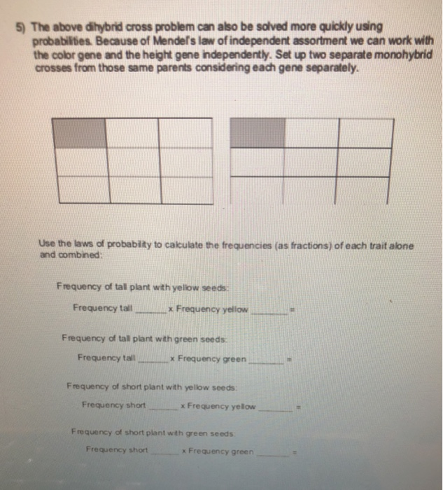 Solved 5) The above dihybrid cross problem can also be | Chegg.com
