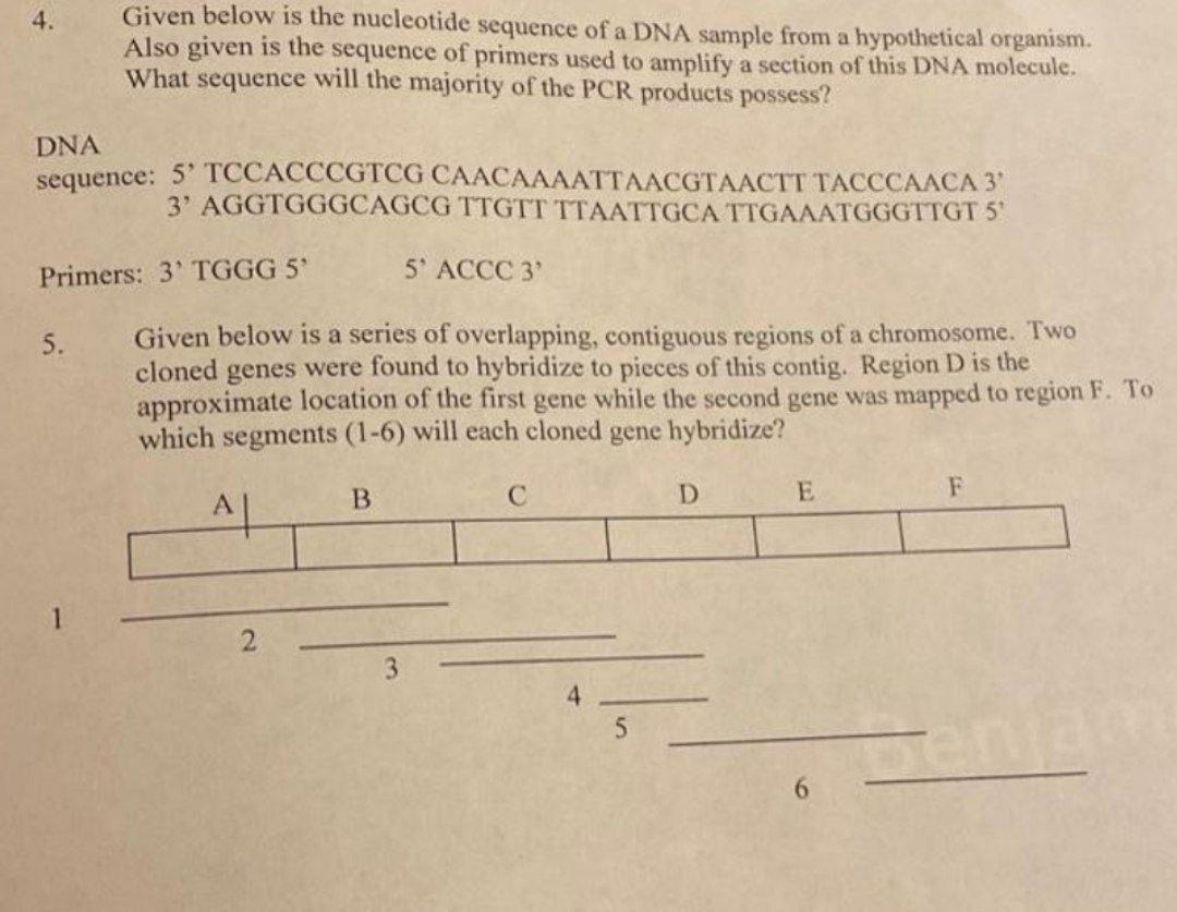 Solved 4. Given below is the nucleotide sequence of a DNA | Chegg.com