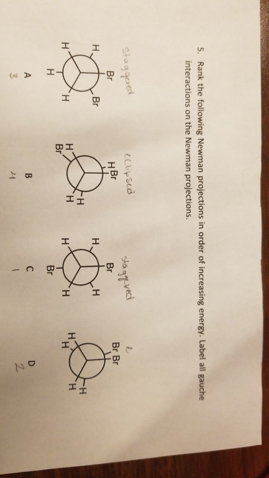 Solved 3 Draw A Newman Projection For Each Molecule In The