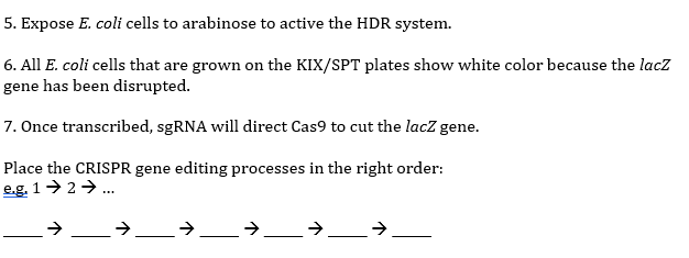 Solved 2. To ensure you fully understand the gene editing | Chegg.com