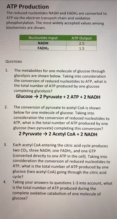 Solved ATP Production The reduced nucleotides NADH and FADH2 | Chegg.com