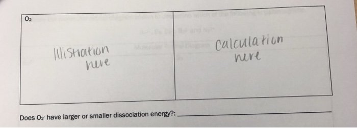 Solved The superoxide ion, O2, plays an important role in | Chegg.com