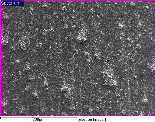 The SEM image in Figure 2(a) was taken from the | Chegg.com