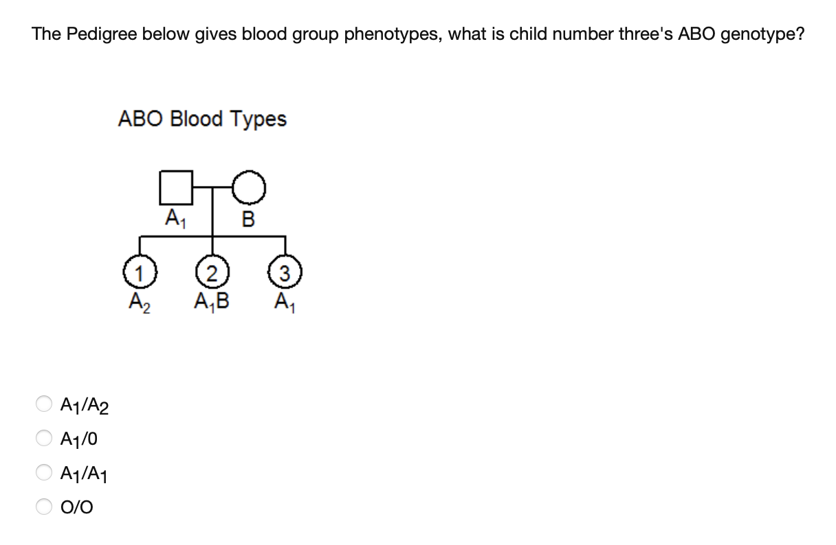 Solved The Pedigree below gives blood group phenotypes, what | Chegg.com
