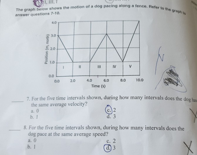 Solved I, III, I The graph below shows the motion of a dog | Chegg.com