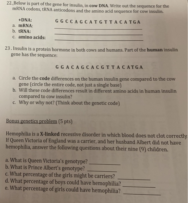 Solved 22. Below i s part of the gene for insulin, in cow | Chegg.com