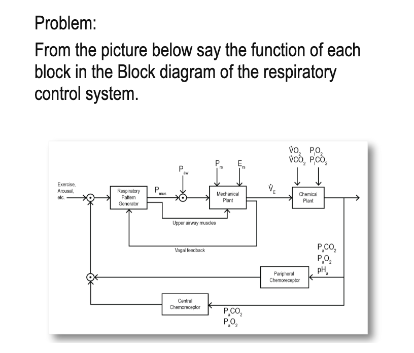 Solved Biomedical Engineering : This activity has the | Chegg.com
