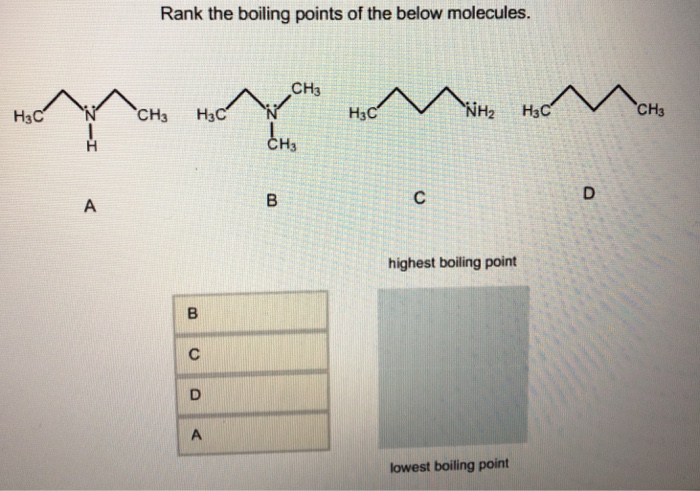 Solved Rank the boiling points of the below molecules. CH3 | Chegg.com