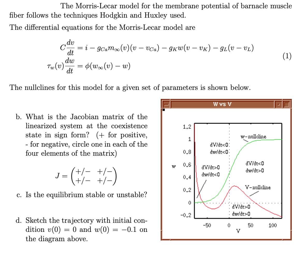 The Morris-Lecar model for the membrane potential of | Chegg.com
