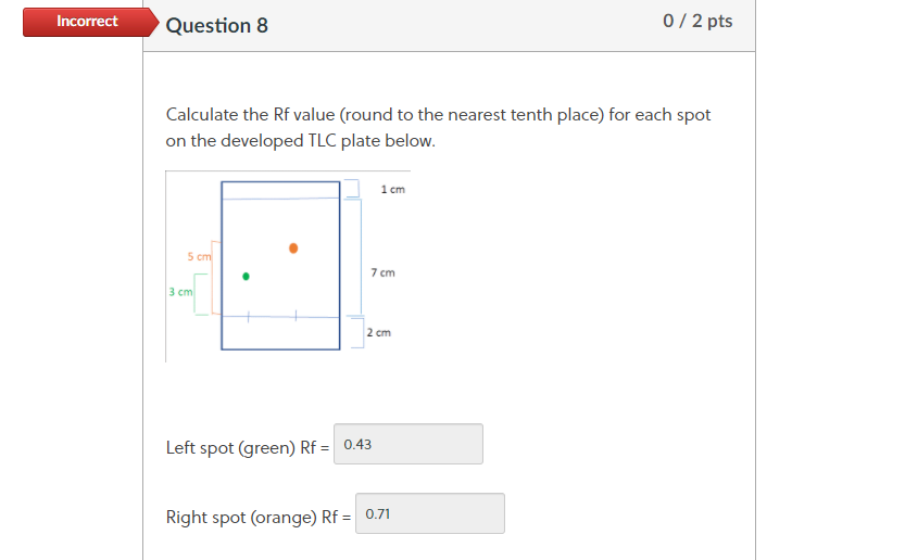 Solved Incorrect Question 8 0/2 pts Calculate the Rf value | Chegg.com