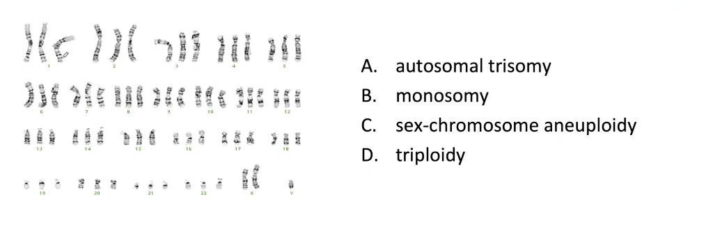Solved the A. autosomal trisomy B. monosomy C. | Chegg.com