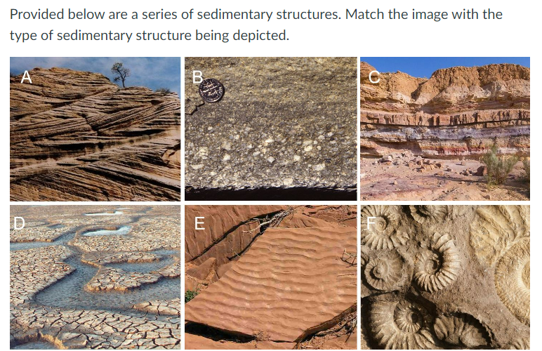 Graded Bedding Sedimentary Rocks