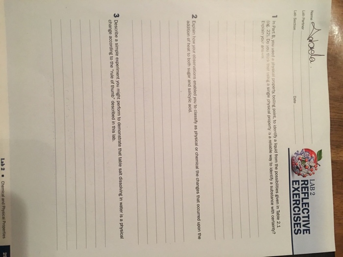 Solved REFLECTIVE EXERCISES Lab Partner Lab Section 1 In | Chegg.com