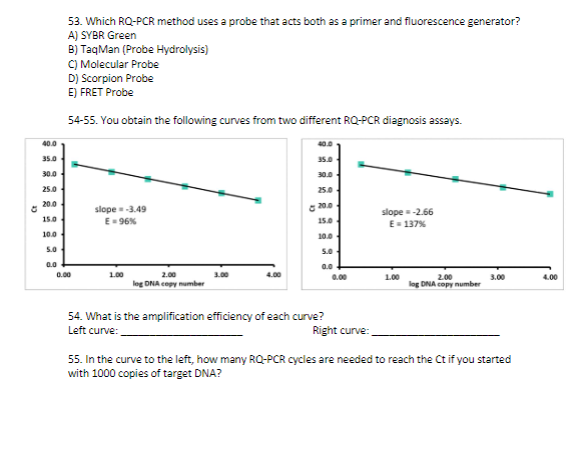 Fret Probe Pcr Diagram