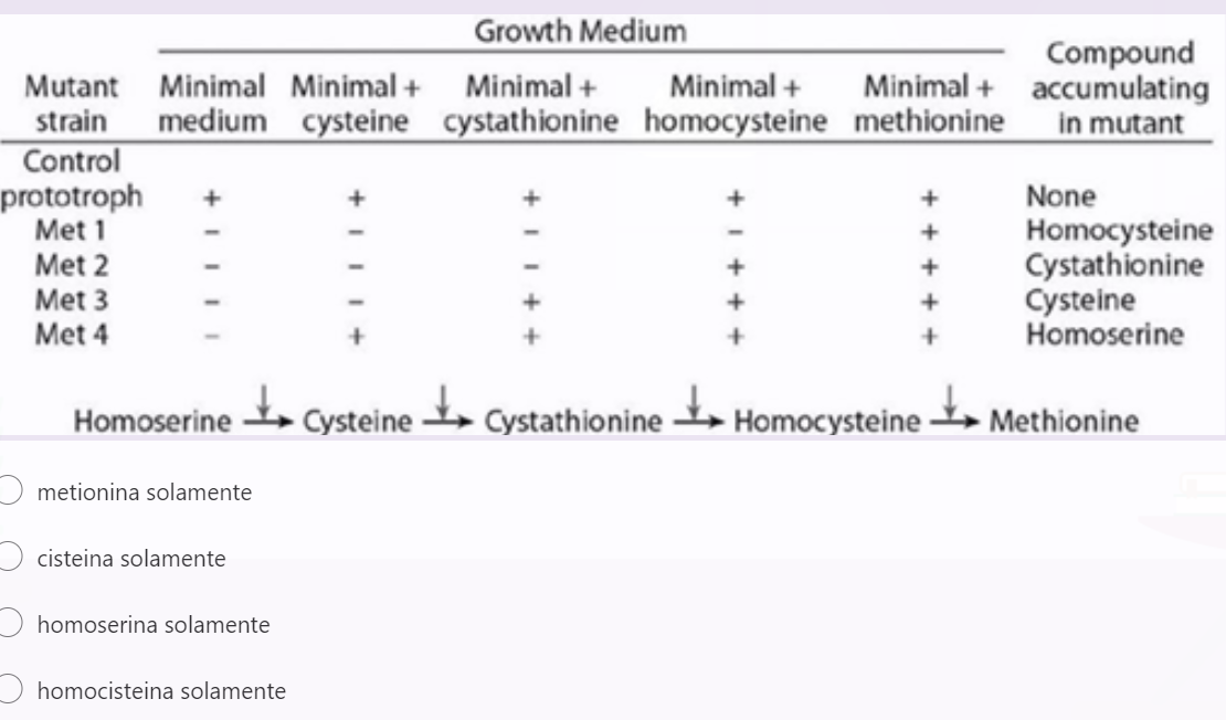 Solved In a biosynthetic pathway to convert homoserine to | Chegg.com